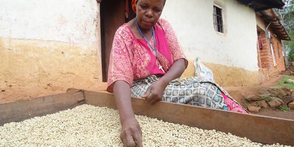 Who We Do! Mambo Coffee Africa | Good Coffee. Good People. Community ...