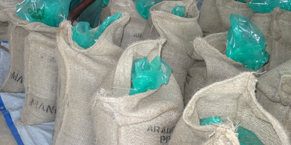 Who We Do! Mambo Coffee Africa | Good Coffee. Good People. Community ...